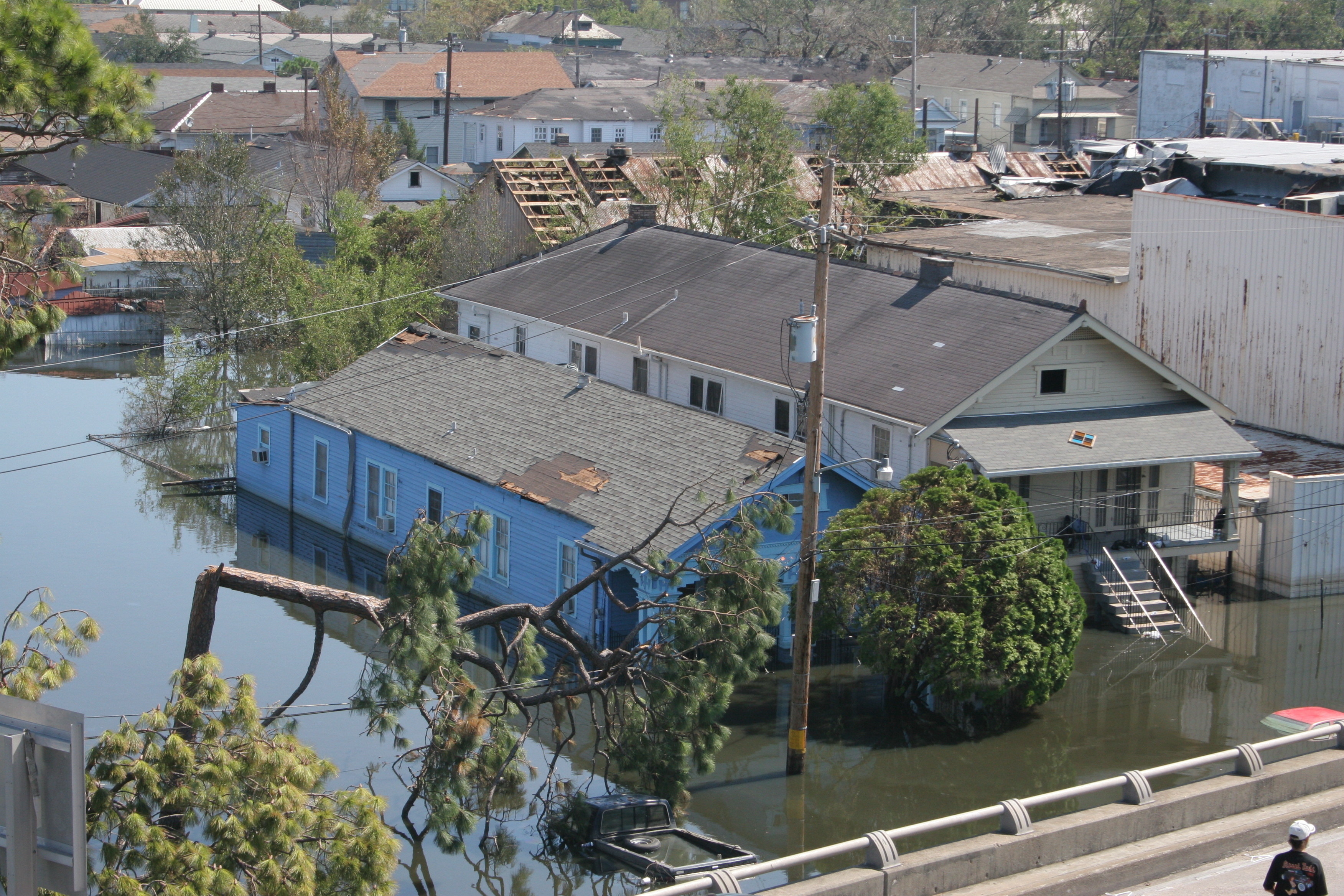 Twenty Years After Katrina: How Levee Failures Changed America | School of Economics