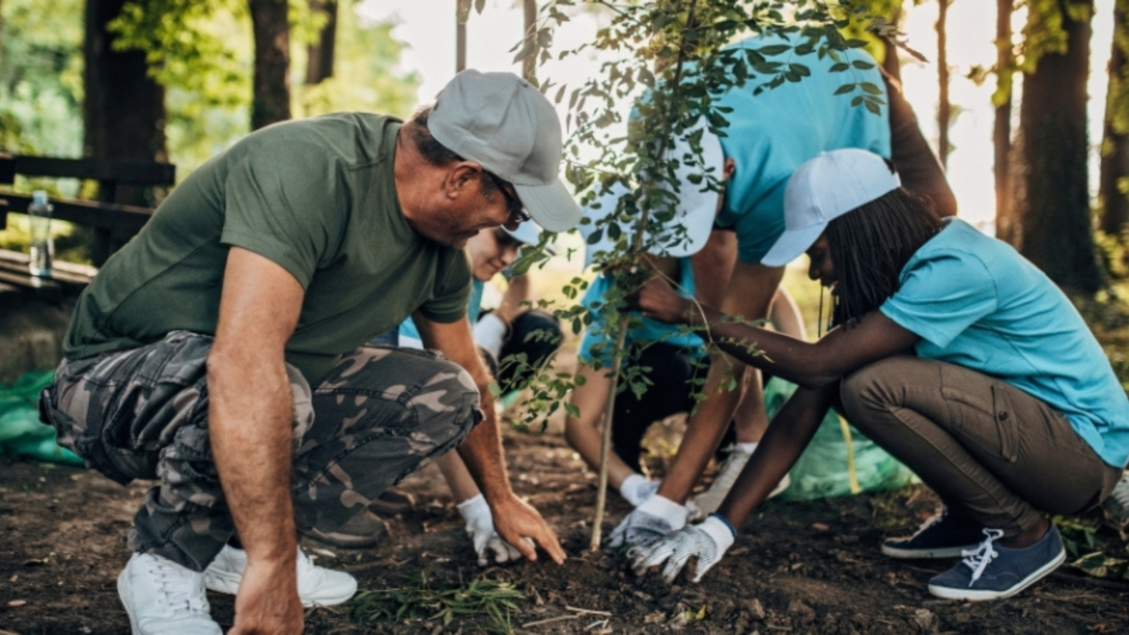 Forest Expansion Increases Agricultural Output, New Study Shows ...